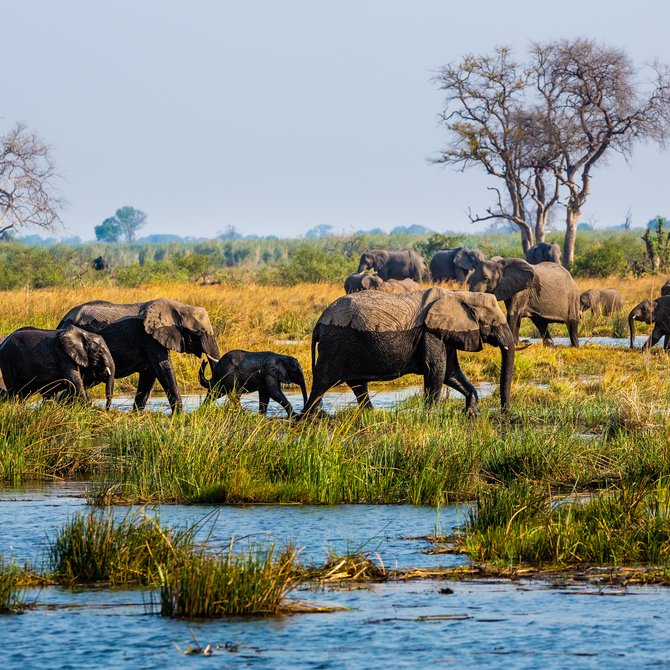 Mudumu National Park: Highlights, Trip Builder & More | Viatu Travel
